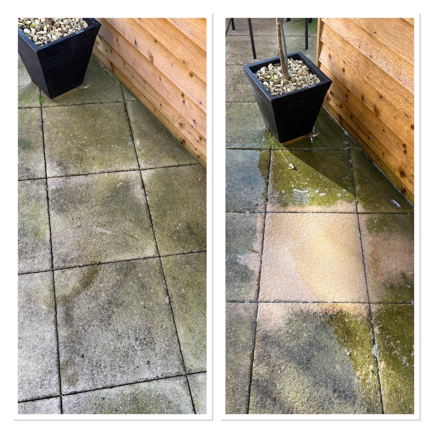 Stone Care Direct Algae Eliminator - Stone Care Direct Ltd